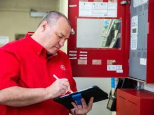 Fire Alarm Weekly Test As Per BS5839-1 : Pulsar Vertex Fire & Security ...